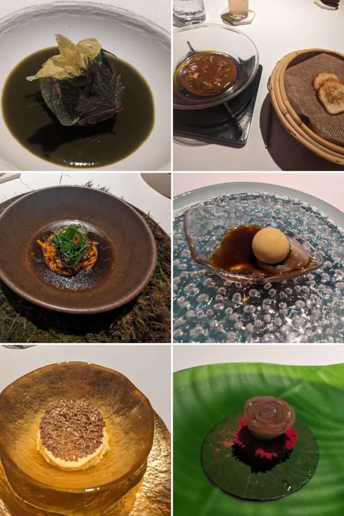 My Review of Two Michelin Star Restaurant Tresind Studio - Stitched To ...